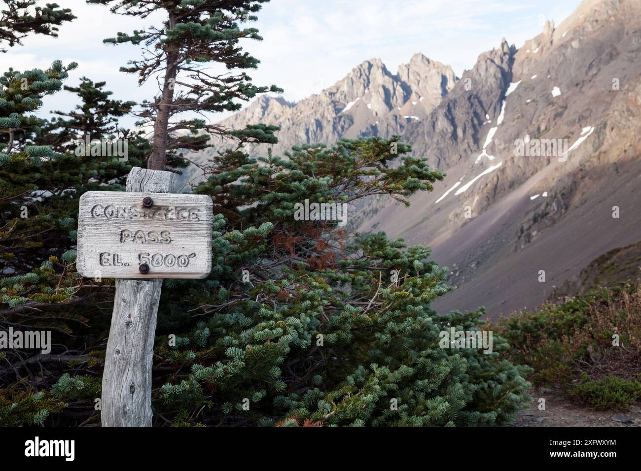 Constance Pass in Olympic National Park. Washington, USA. August 2017 ...