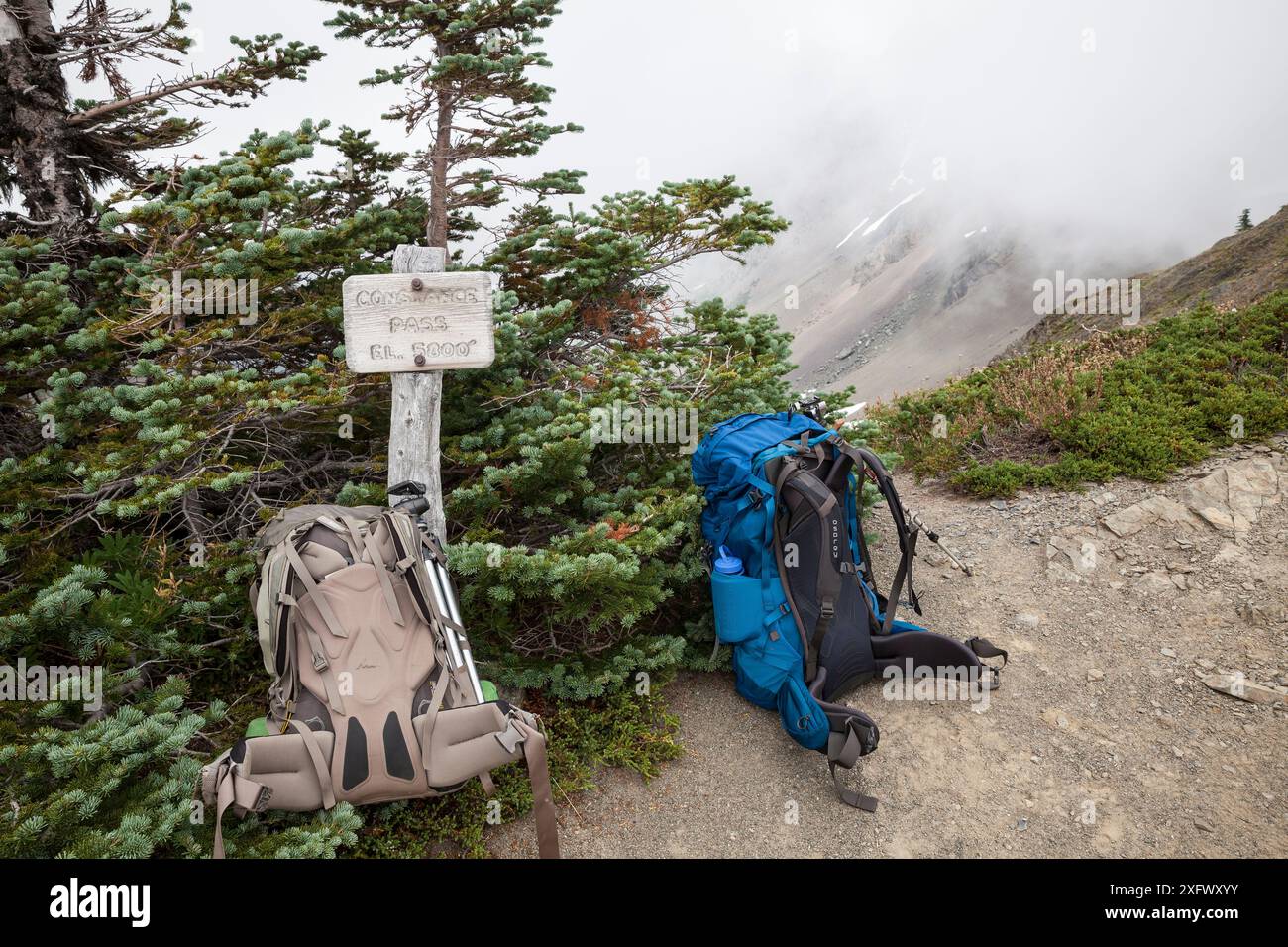 Backpacks at Constance Pass in Olympic National Park. Washington, USA ...