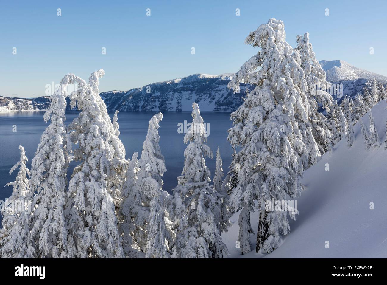 Winter view of Crater Lake from the West Side of Rim Drive, Crater Lake ...