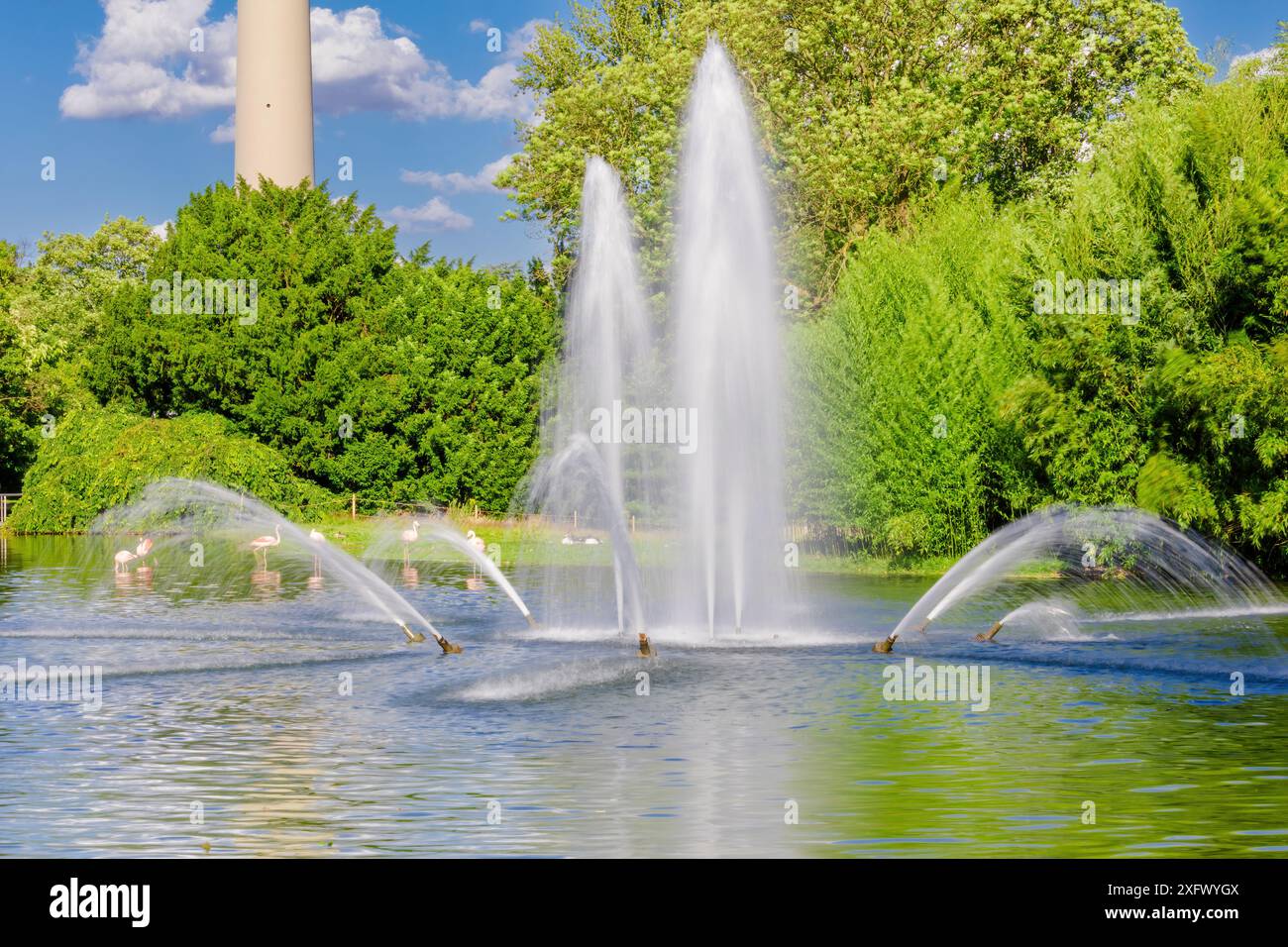 A fountain with water shooting out of it in a park. The water is ...