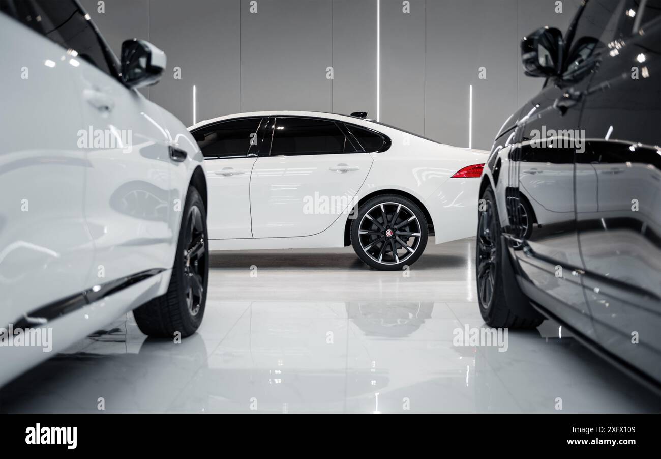 Car dealership. Car showroom with new cars. Two cars parked side by ...