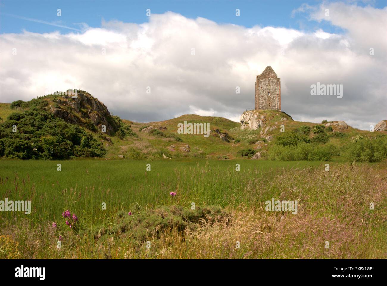 view of Smailholm Tower in Scottish Borders in summer Stock Photo - Alamy