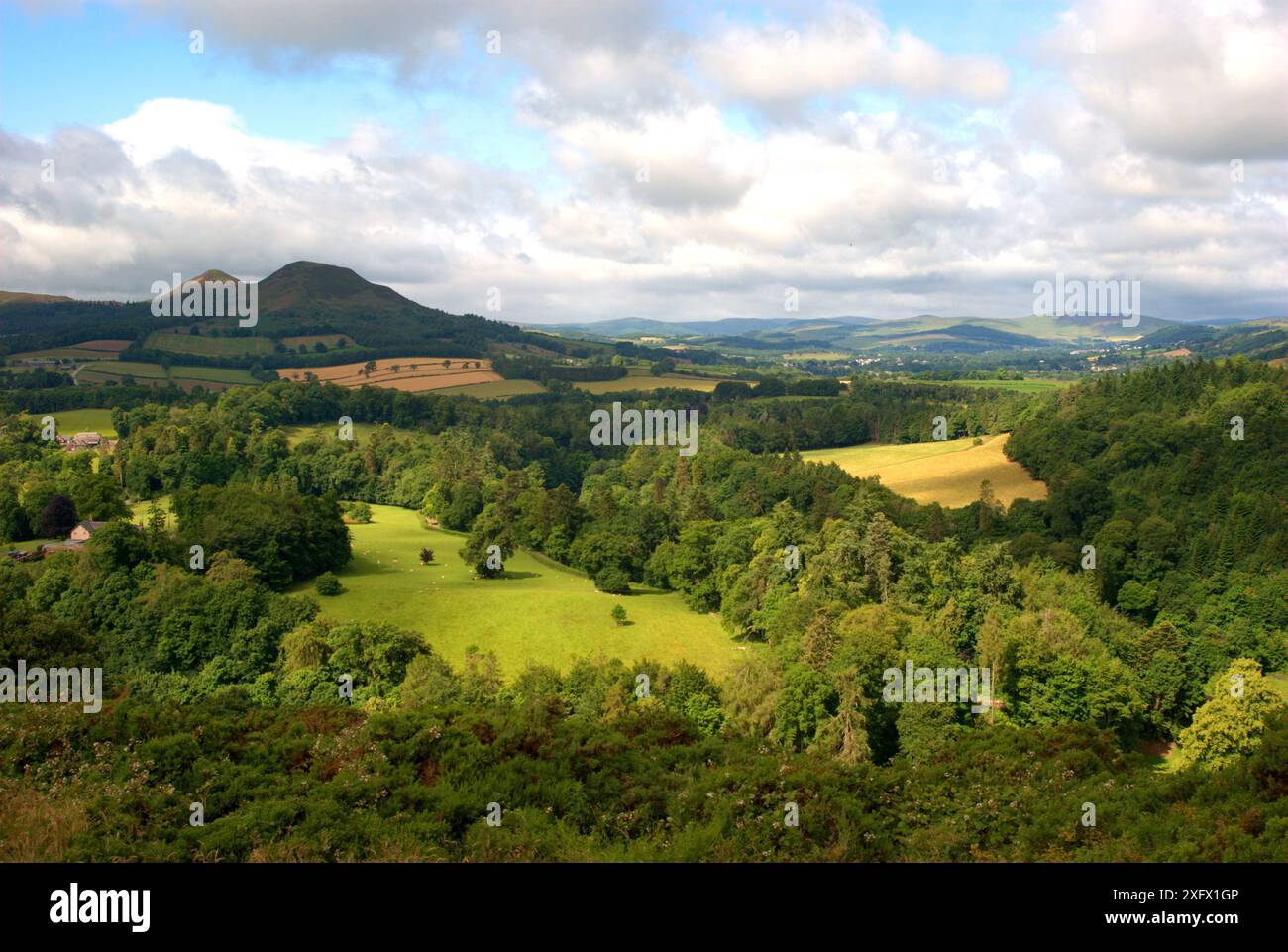 landscape of Scottish Borders with Eildon Hills in summer Stock Photo ...