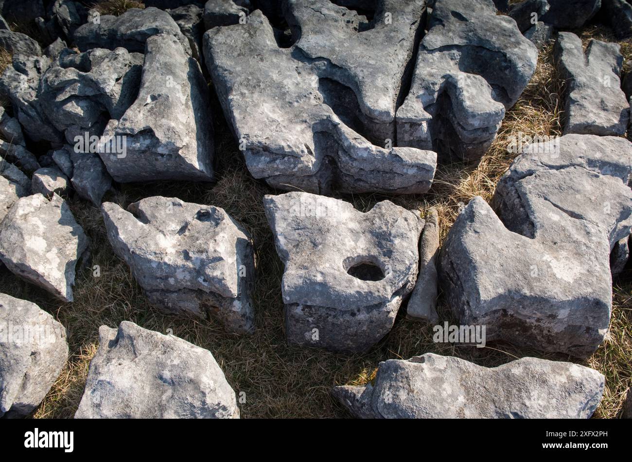 Clints (blocks) and Grykes (gaps) of limestone pavement. This is ...