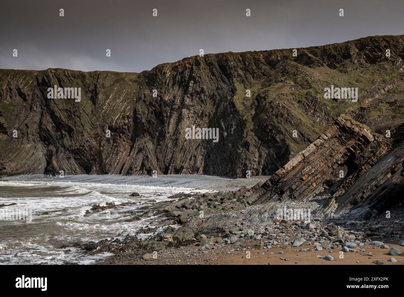 Folded Carboniferous age sandstone and shale (Culm Measures) deformed ...