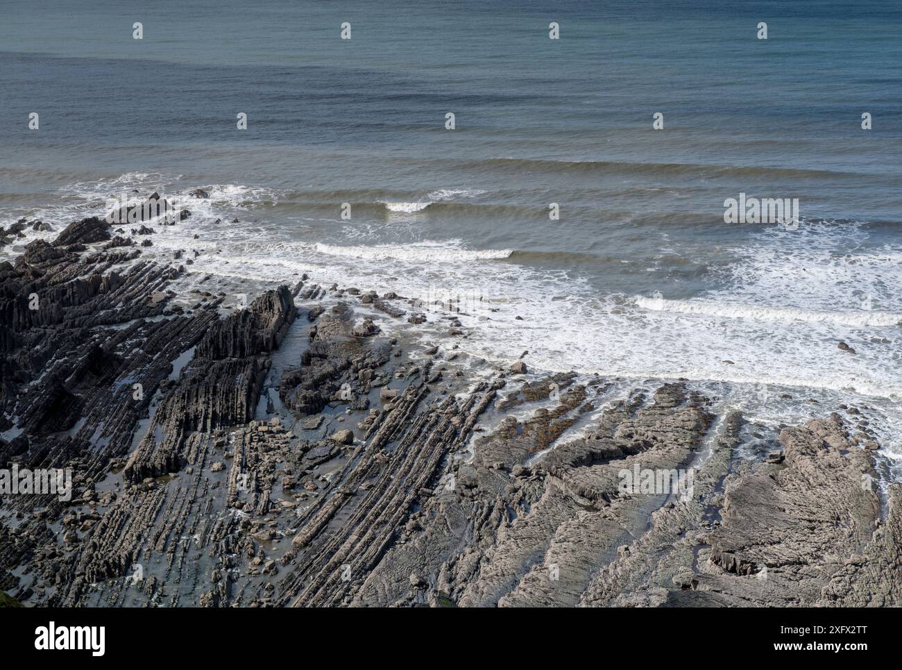 Folded Carboniferous age sandstone and shale (Culm Measures) in plan ...
