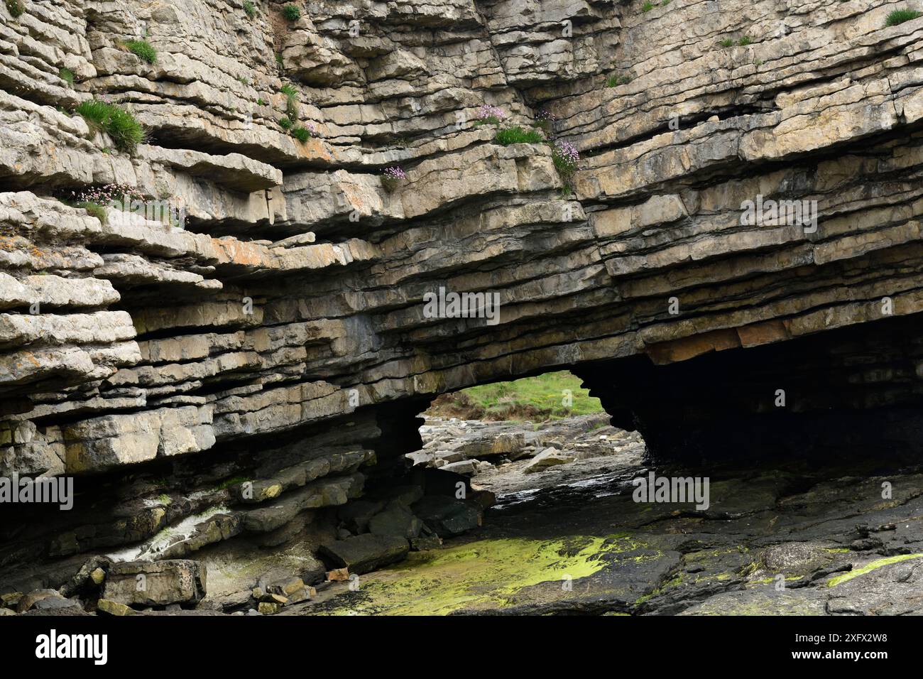 A small fault offsetting Carboniferous limestone that forms the side of ...