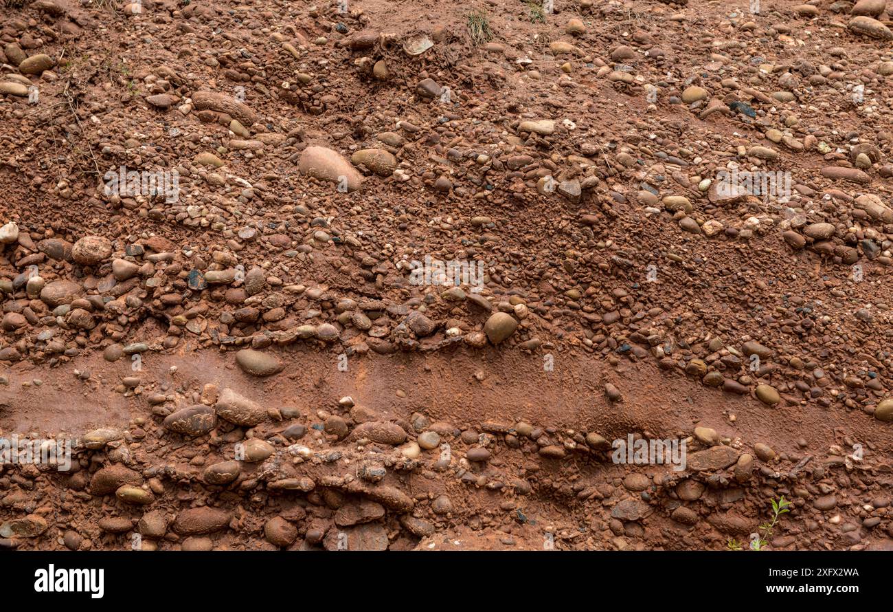 Triassic age Conglomerate and Sandstone, part of the Otter Sandstone ...