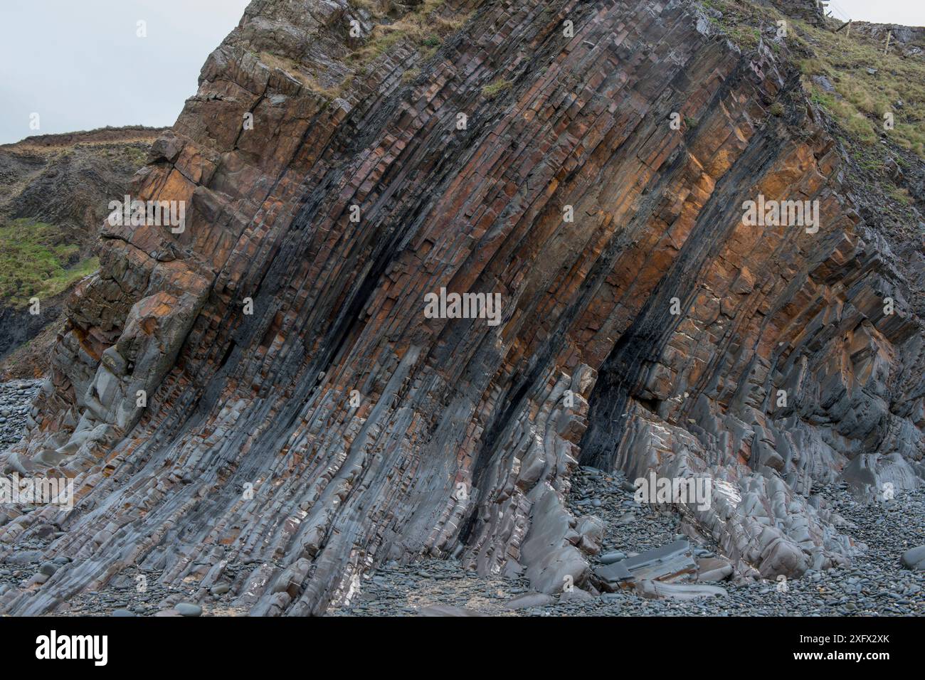 Steeply dipping beds of Carboniferous age sandstone and shales (Culm ...