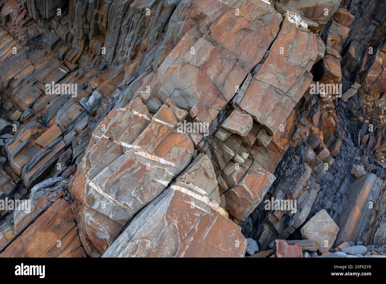 En echelon tension (or parallel) cracks in Carboniferous age turbidite ...