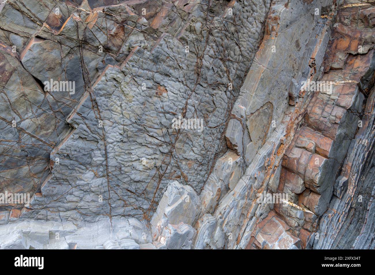 Sole marks on the underside of a bed of Carboniferous age, turbidite ...