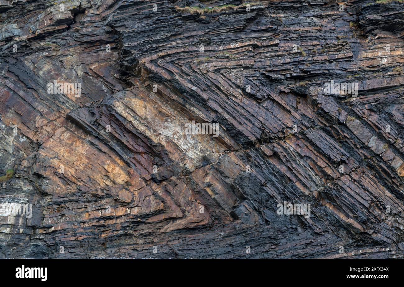 Chevron recumbent folding in Carboniferous age sandstone and shale ...