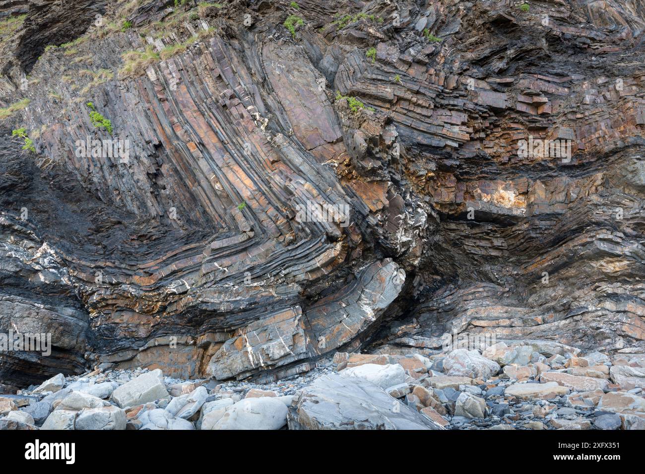 Recumbent folds in Carboniferous age sandstones and Shale (Bude ...