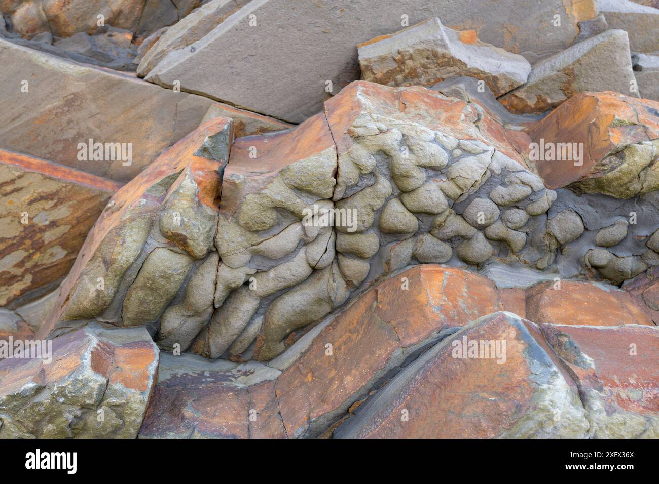 Load casts on the underside of a sandstone bed of Carboniferous age ...