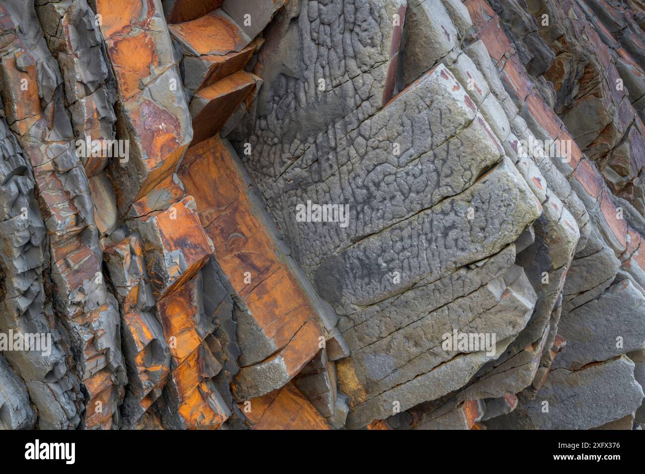 Load casts on the underside of a sandstone bed of Carboniferous age ...