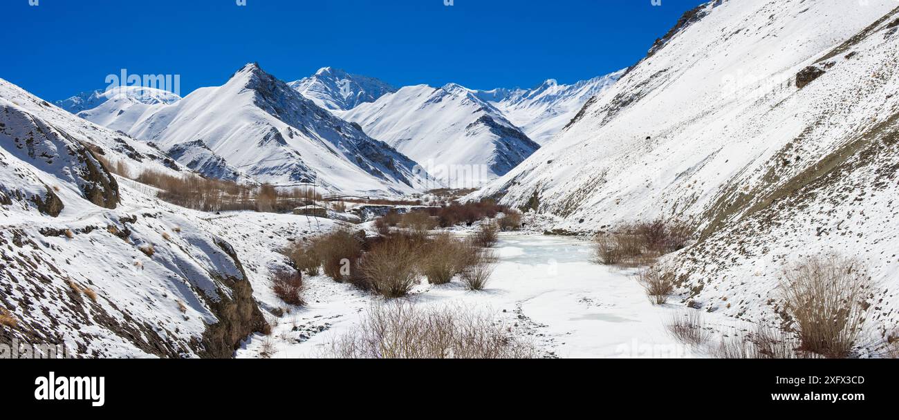 Snow-covered Himalayan mountains, habitat of the snow leopard (Panthera ...