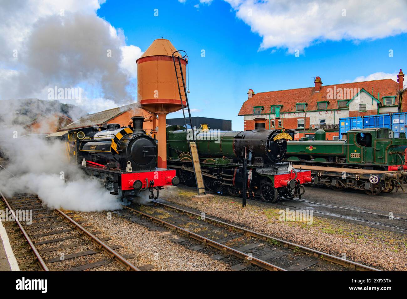 A collection of preserved steam engines in the shed yard at Minehead station at the West ...