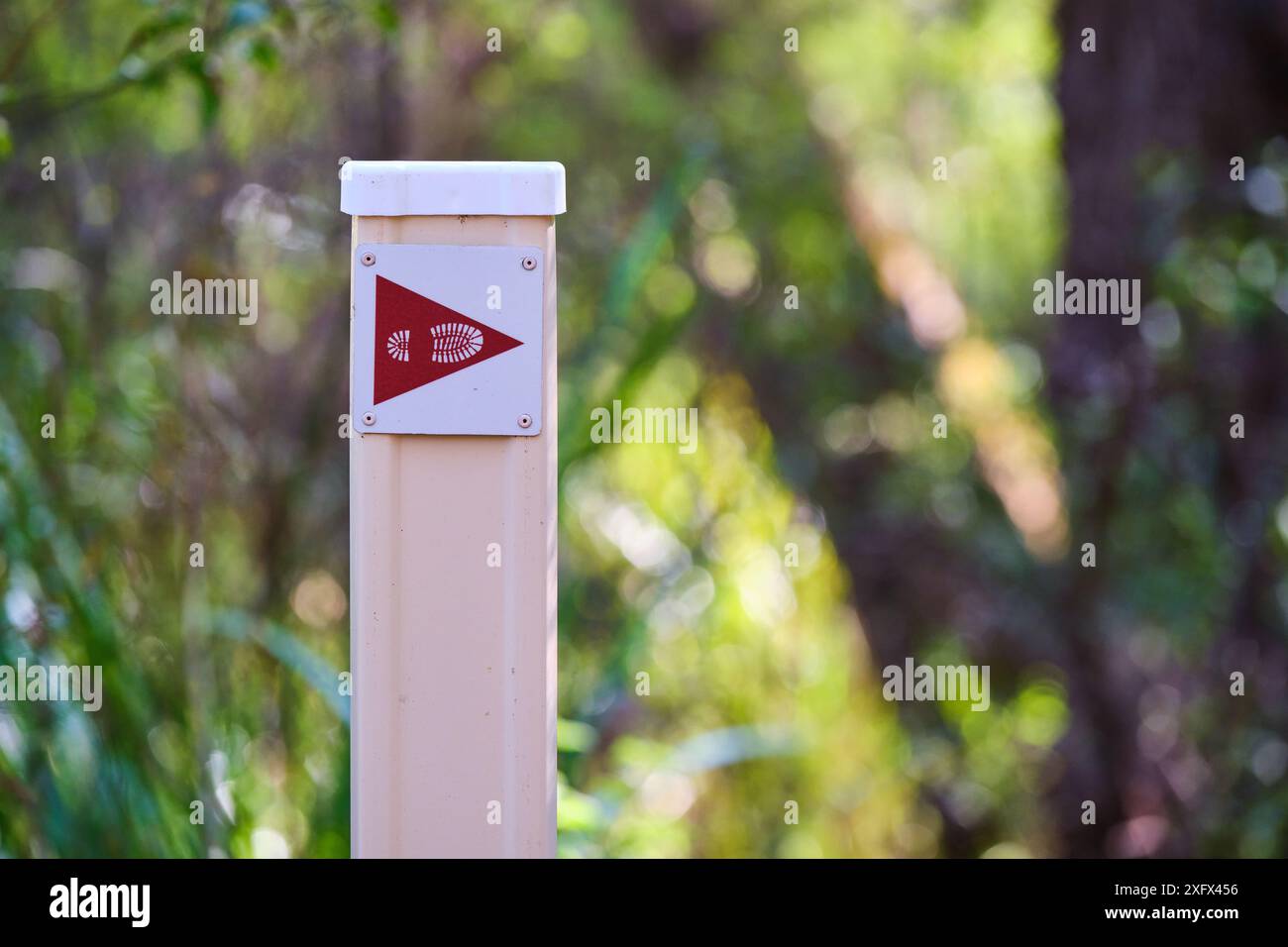 A marker or sign on a walking trail indicating the direction of the ...