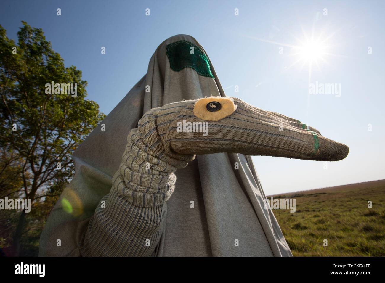 Dressed in costumes endangered animals hi-res stock photography and ...