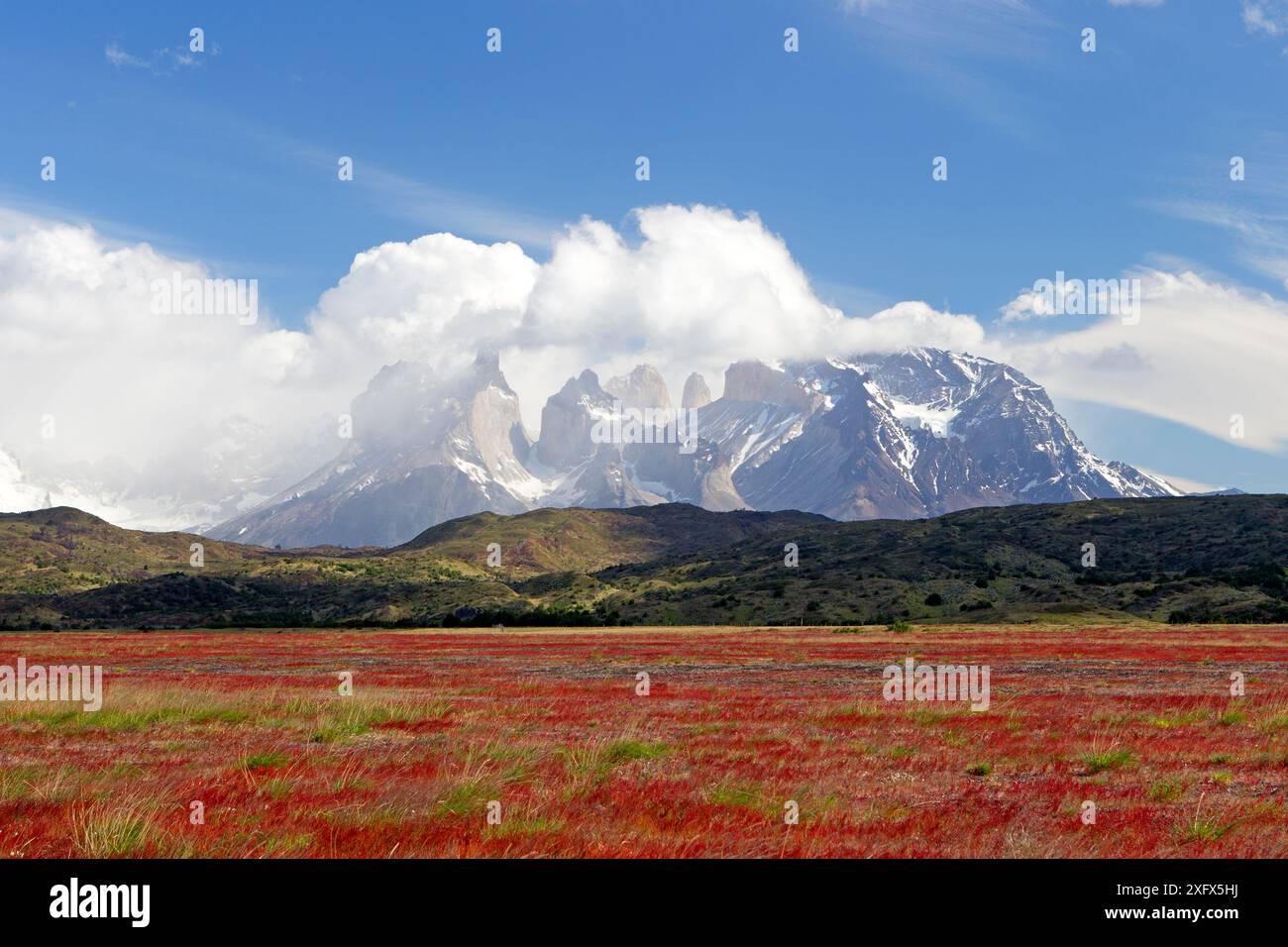 The Horns of Torres del Paine National Park, Patagonia, Chile Stock ...