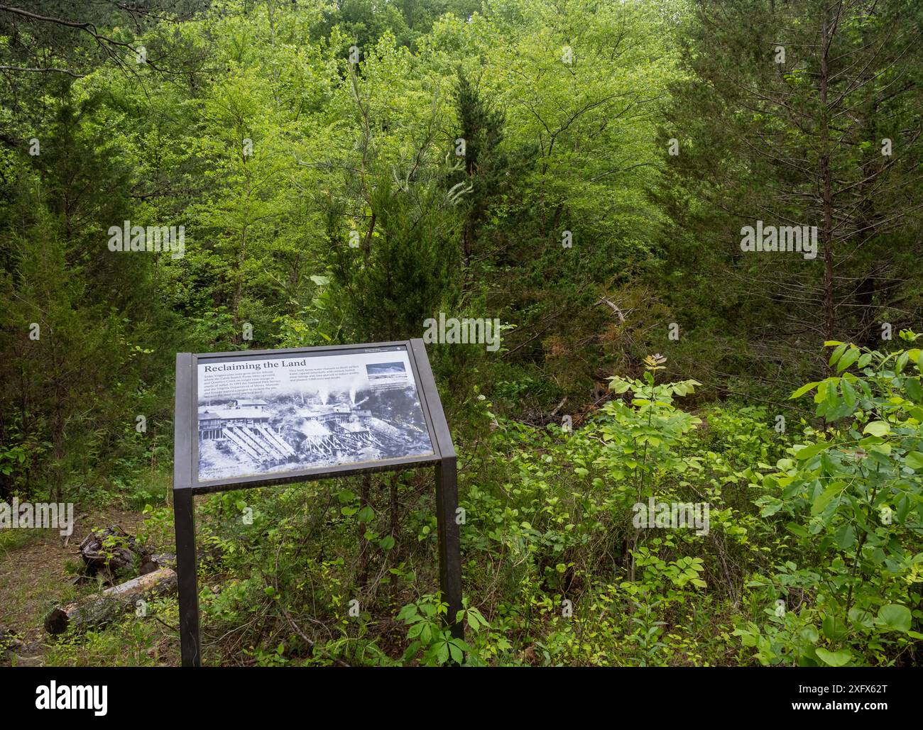 A sign of nature's resurgence at the former Branch Pyrite Mine in ...