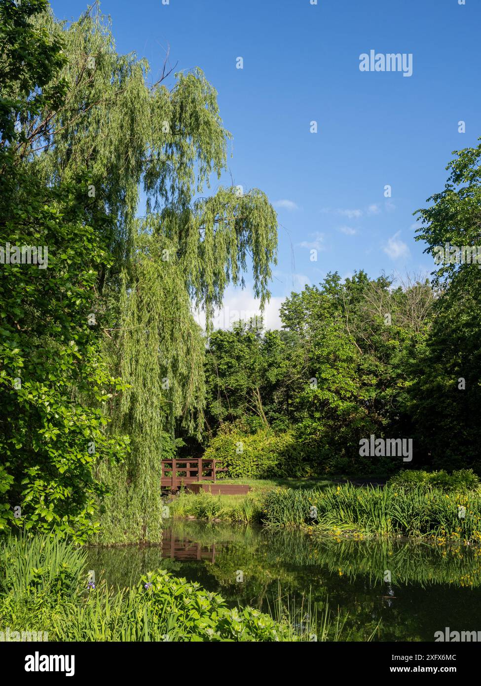 In Ashburn, Virginia, a wooden bridge reflects in a mirror-like pond ...