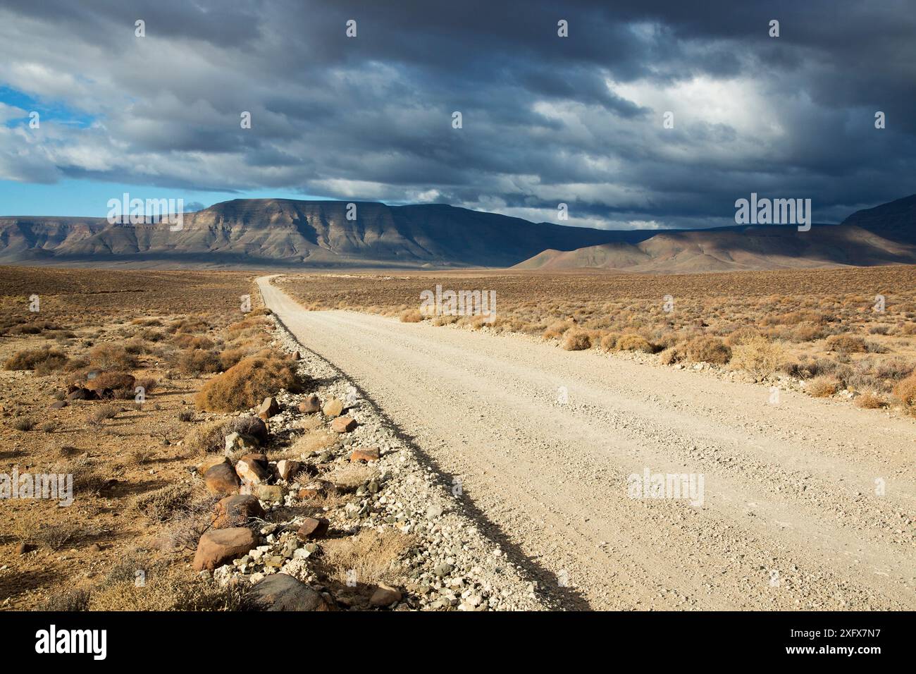 Gravel road, Tankwa Karoo National Park, Western Cape Province Stock ...