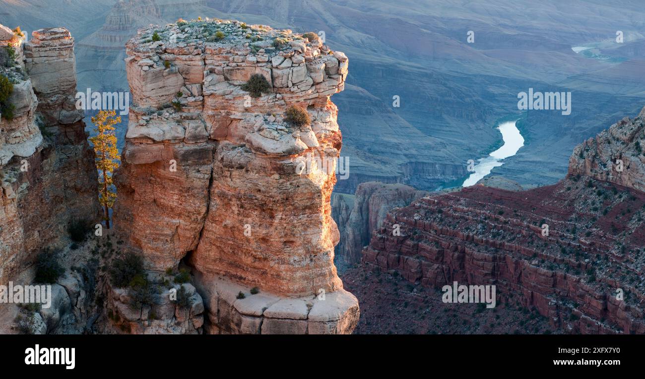 Moran Point with Ponderosa pine (Pinus ponderosa) and rock spires ...