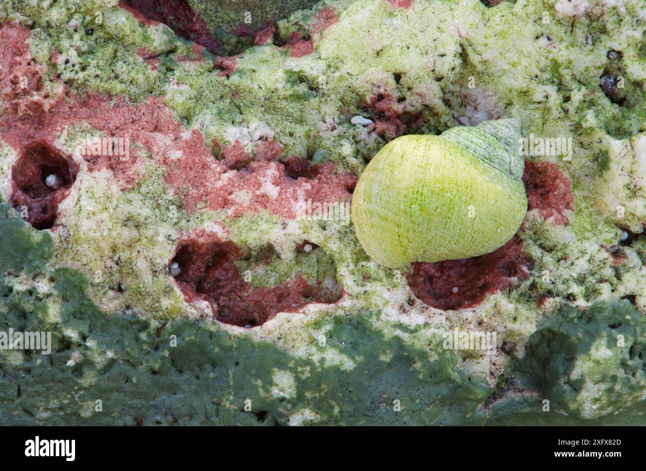 Killard national nature reserve hi-res stock photography and images - Alamy