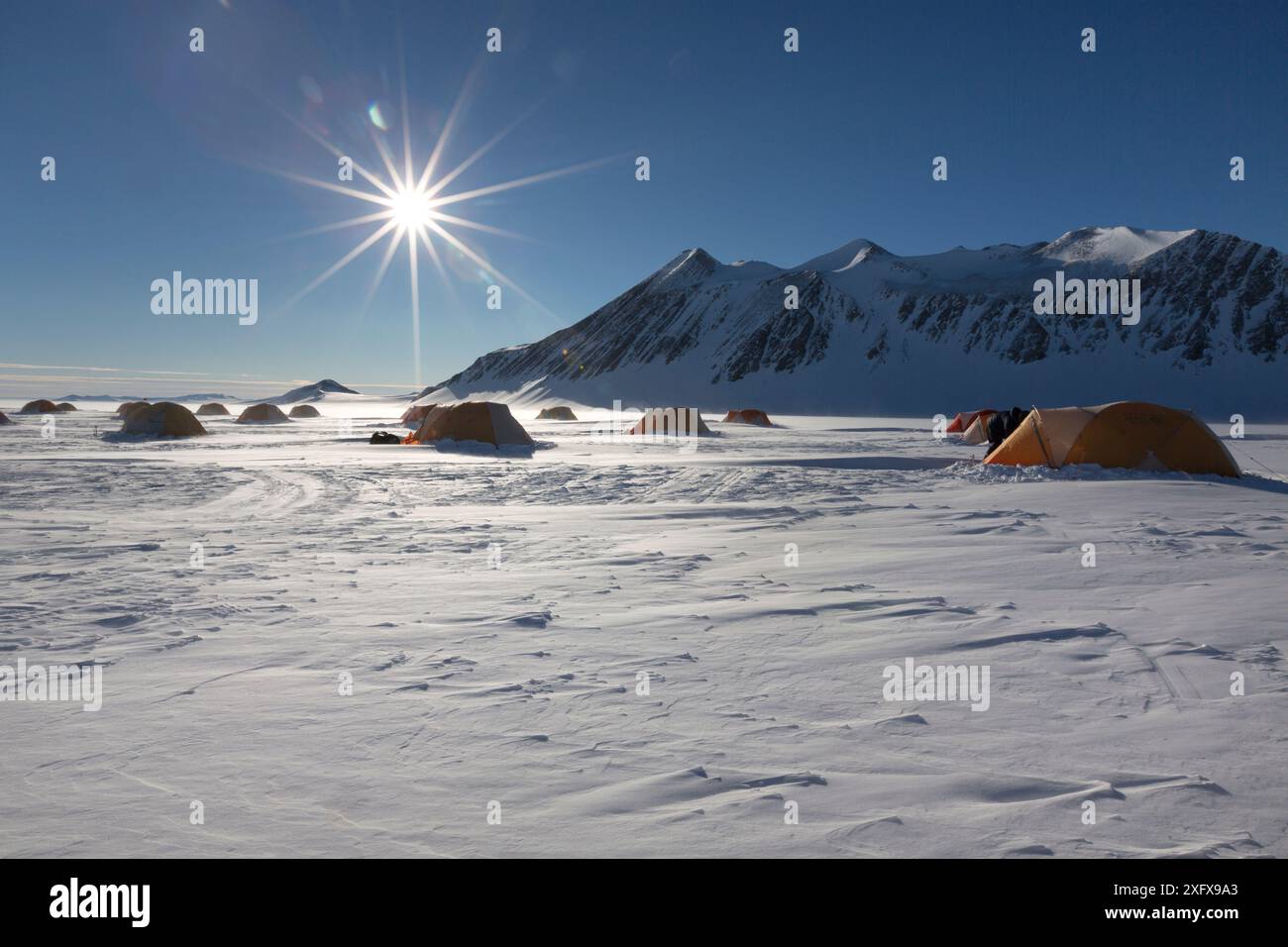 Antarctica camp staff hi-res stock photography and images - Alamy