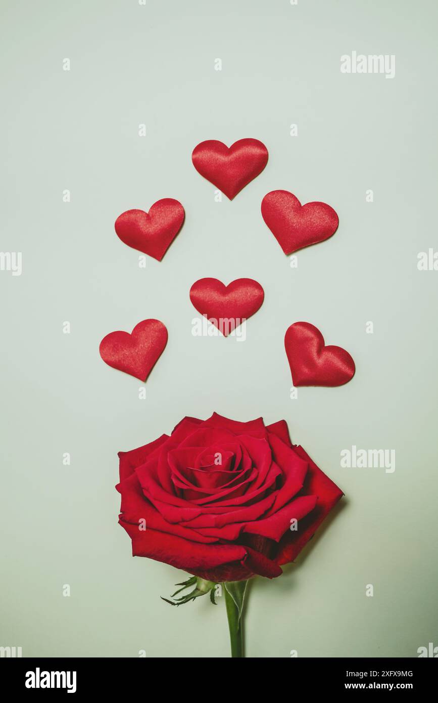 Vertical photo of a Colombian red rose and hearts on joyful aqua blue ...