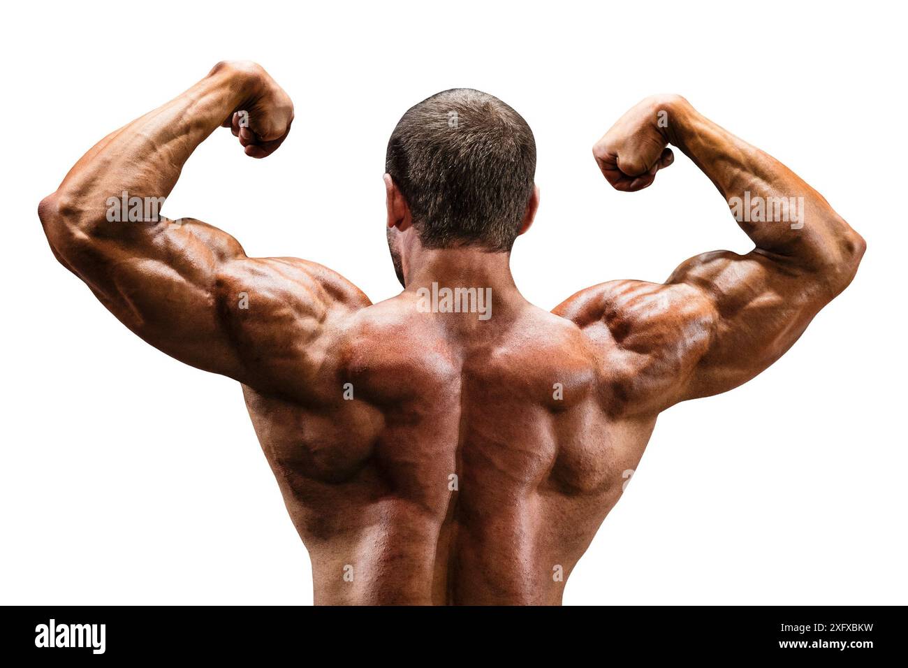Biceps hi-res stock photography and images - Alamy