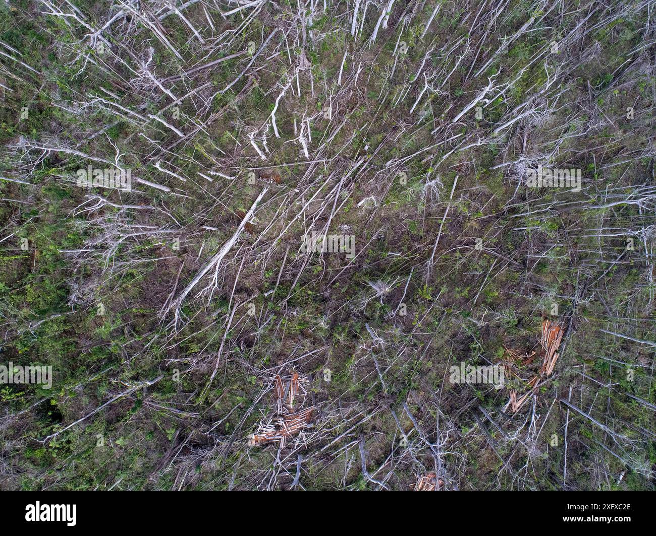 Many tall aerials hi-res stock photography and images - Alamy