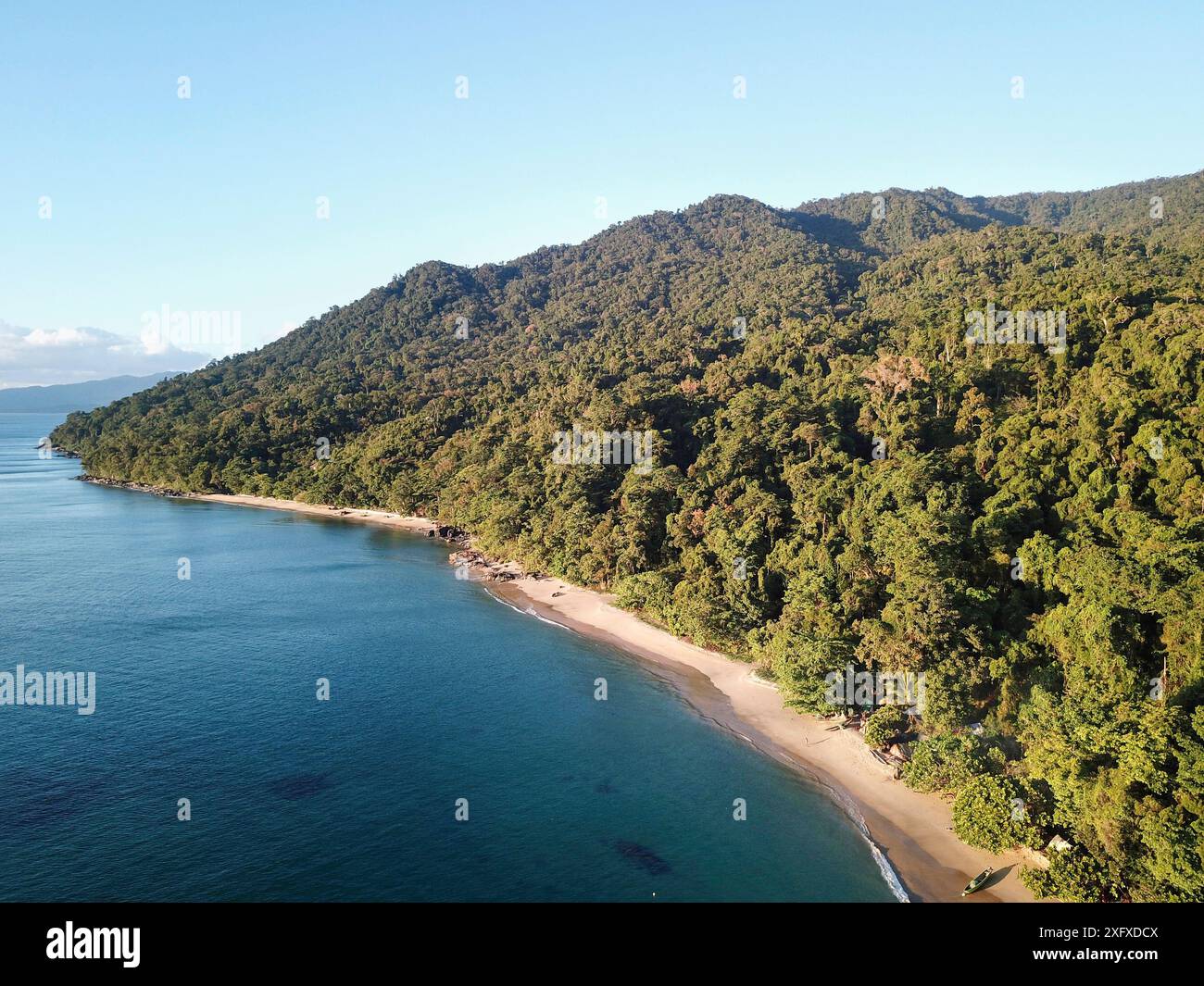 Coast of Bay of Antongil where lowland rainforest meets the Indian ...