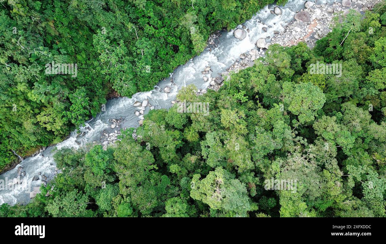 Aerial view of small river and mid-altitude montane rainforest. Manu ...