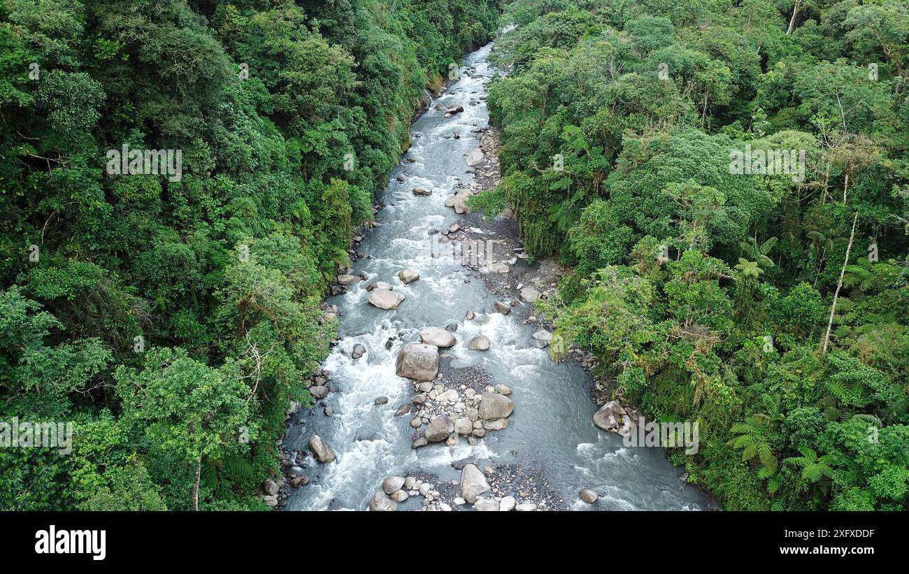 River flowing through mid-altitude montane rainforest. Manu Biosphere ...