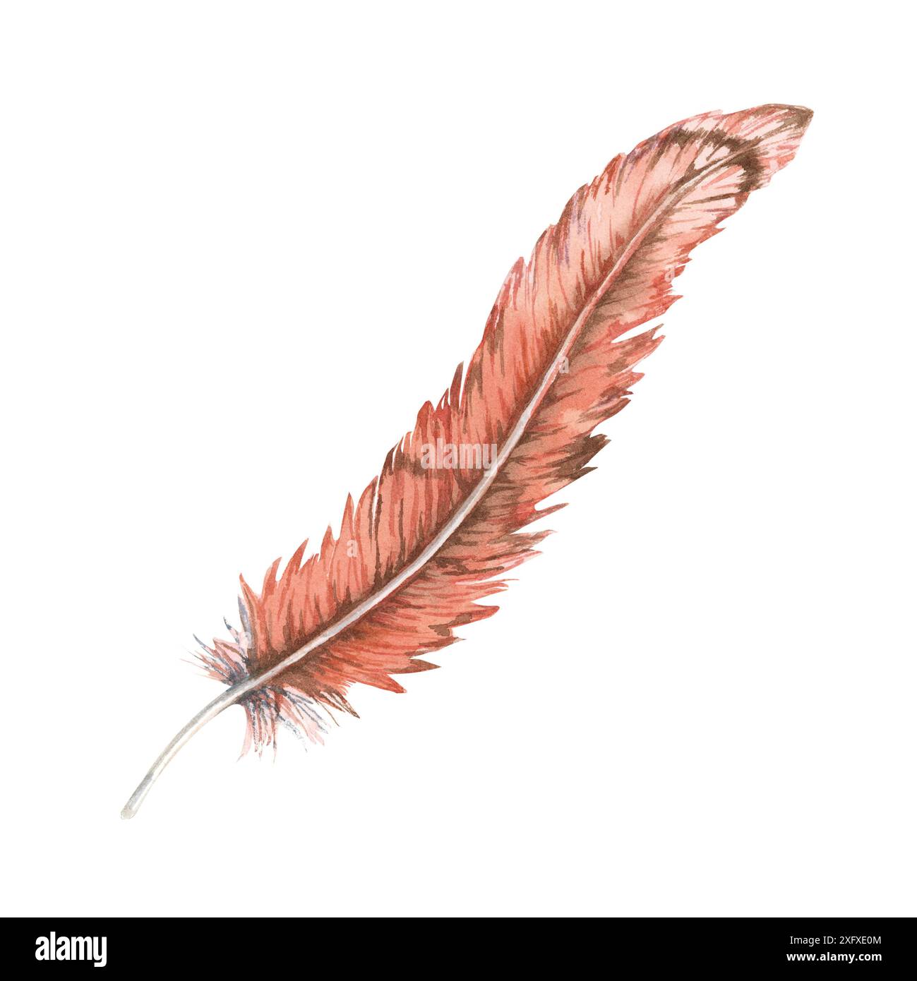 Delicate fabrics Cut Out Stock Images & Pictures - Alamy