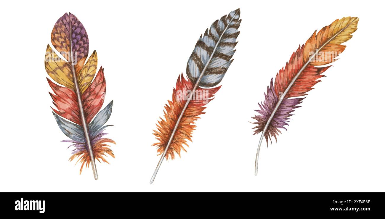Collection of three feathers in various colors and patterns, Detailed ...