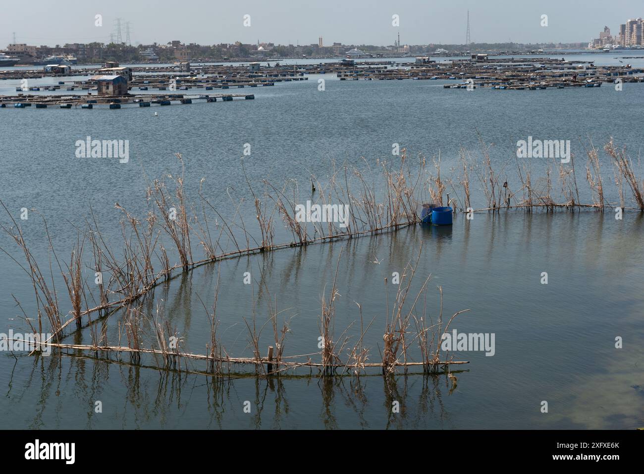 Reed fish traps a typical method of fishing near the fish farms of ...