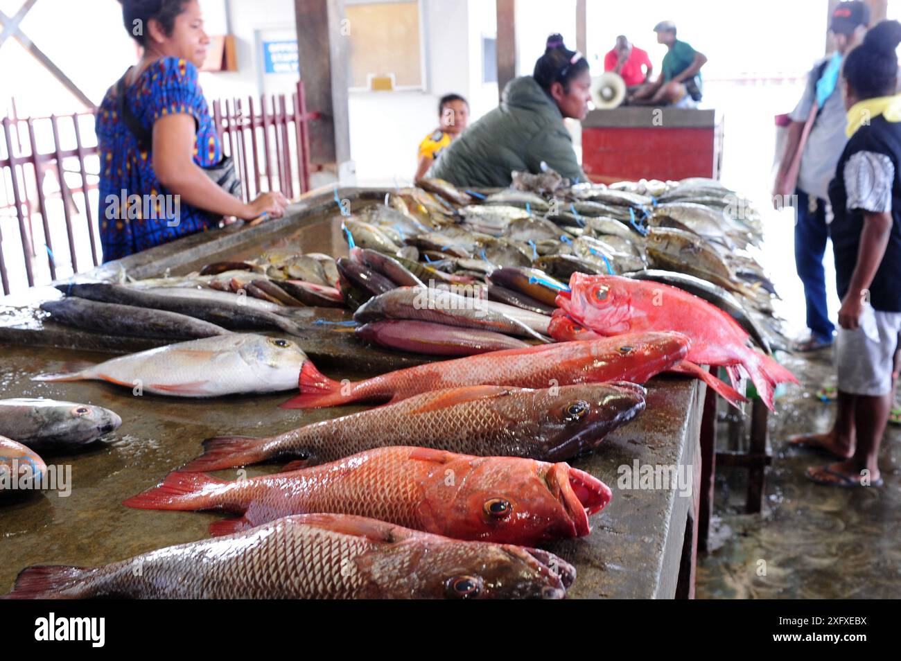 Port Moresby, Papua New Guinea. 5th July, 2024. Seafood are pictured at ...