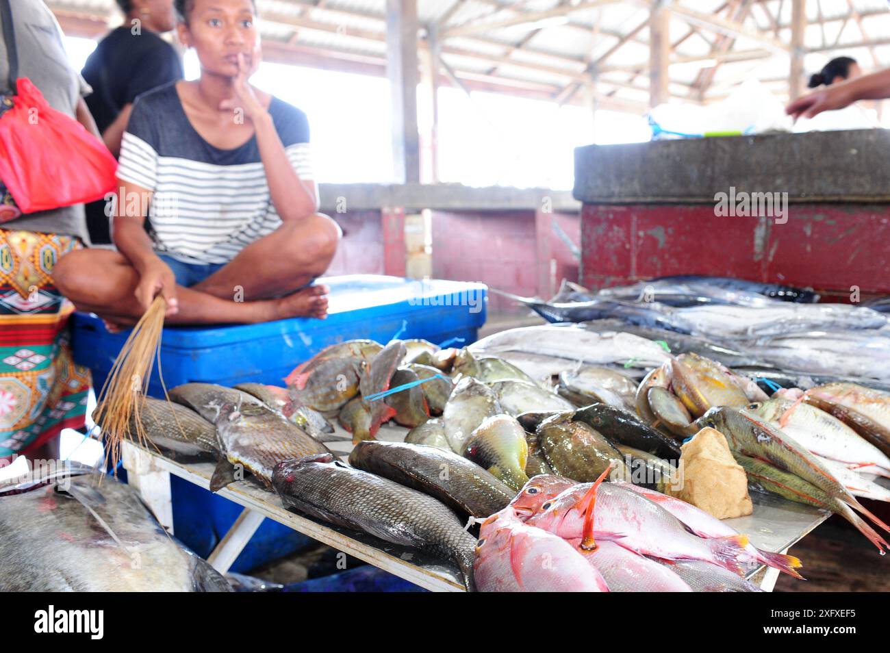 Port Moresby, Papua New Guinea. 5th July, 2024. Seafood are pictured at the Koki Fish Market in ...