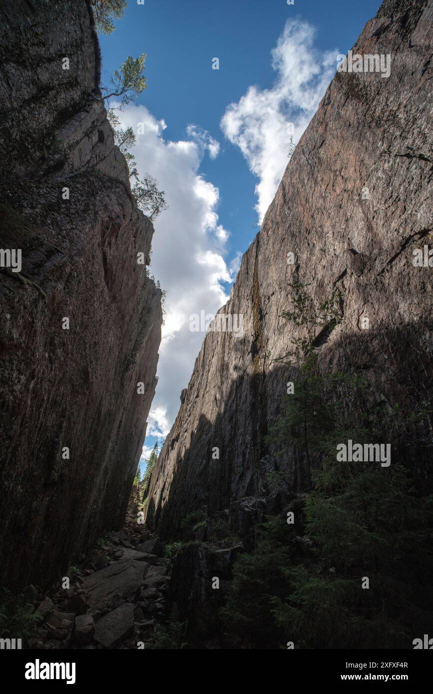Path through steep-sided Slattdalskravan Gorge, Skuleskogen National ...
