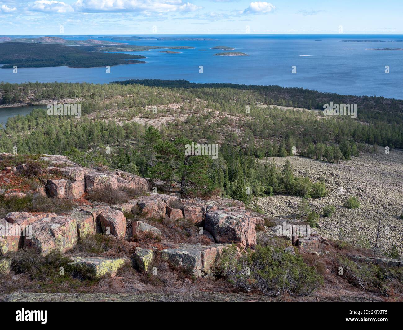 Rock outcrop, pebble field and coniferous forest with Gulf of Bothnia ...