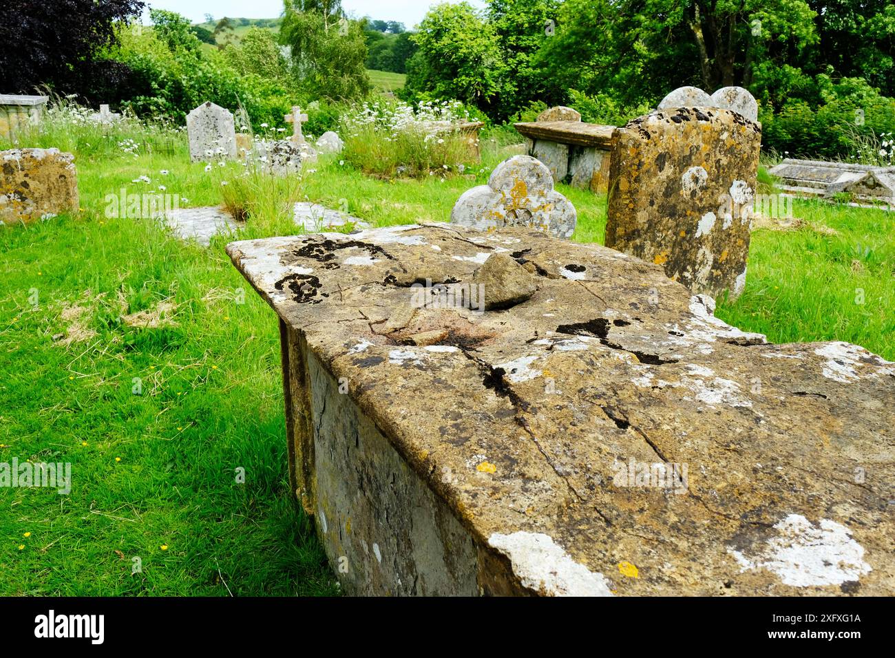 The churchyard of the parish church of St. Mary, Netherbury, Dorset, UK ...