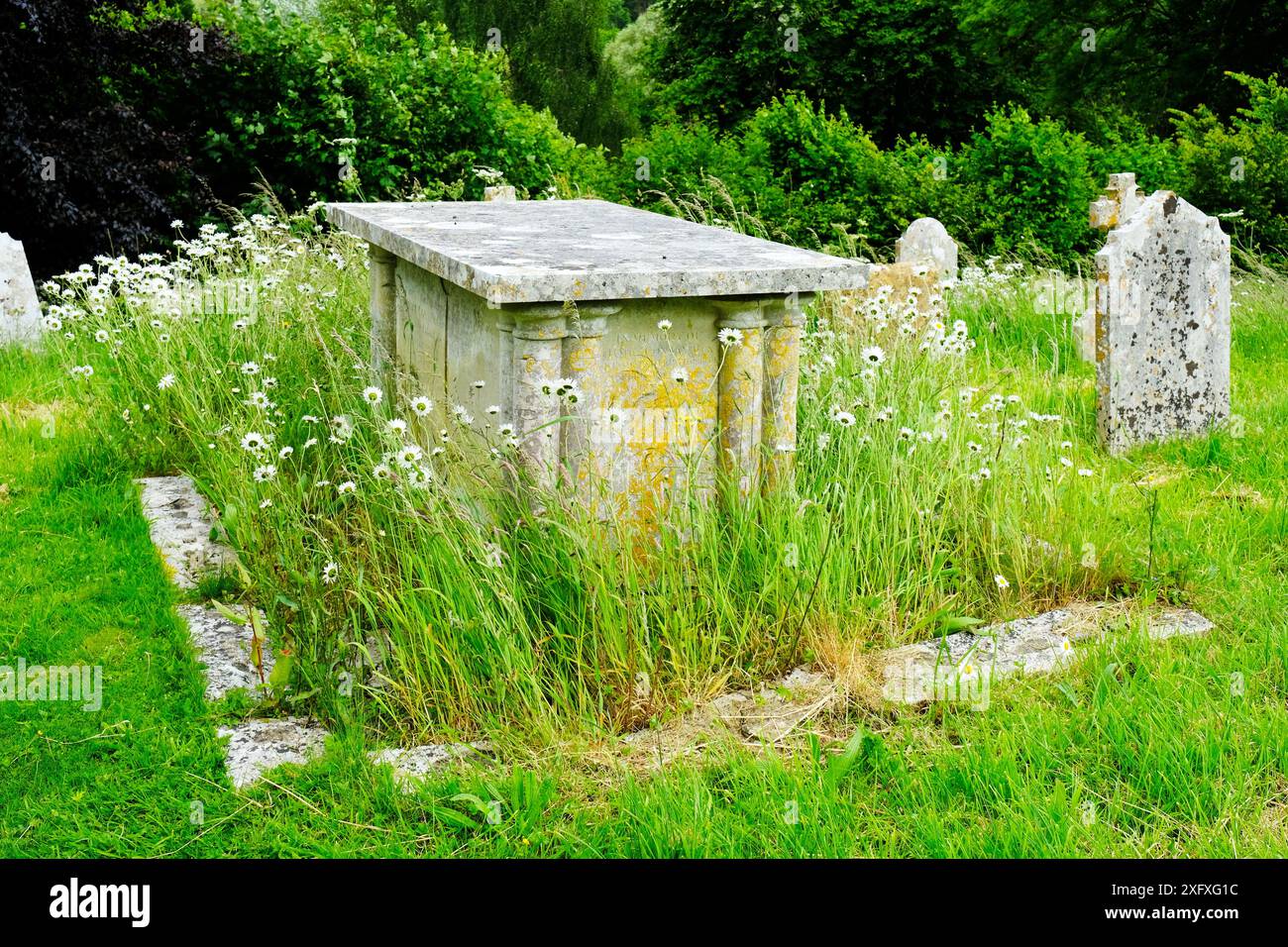 The churchyard of the parish church of St. Mary, Netherbury, Dorset, UK ...