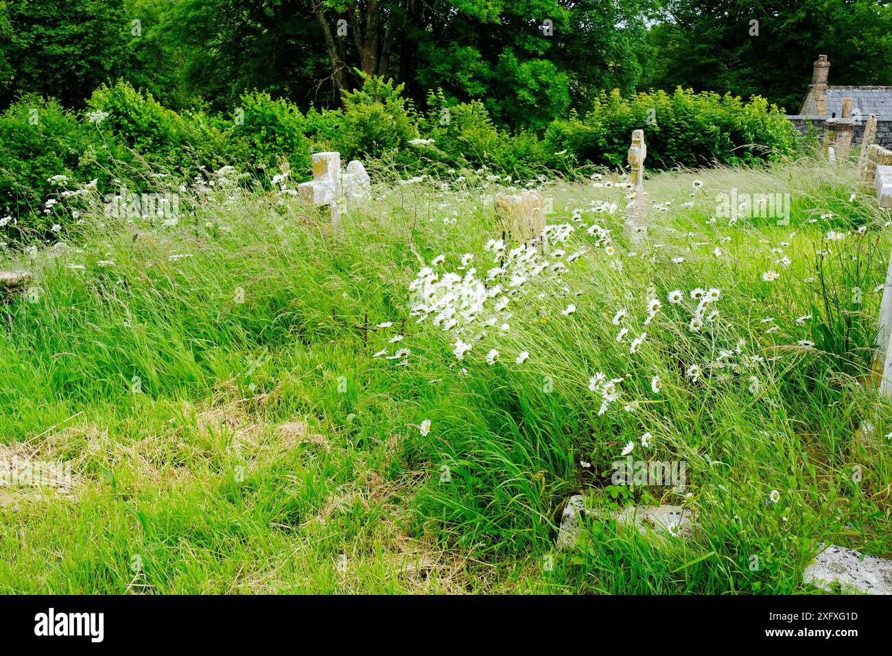 The churchyard of the parish church of St. Mary, Netherbury, Dorset, UK ...