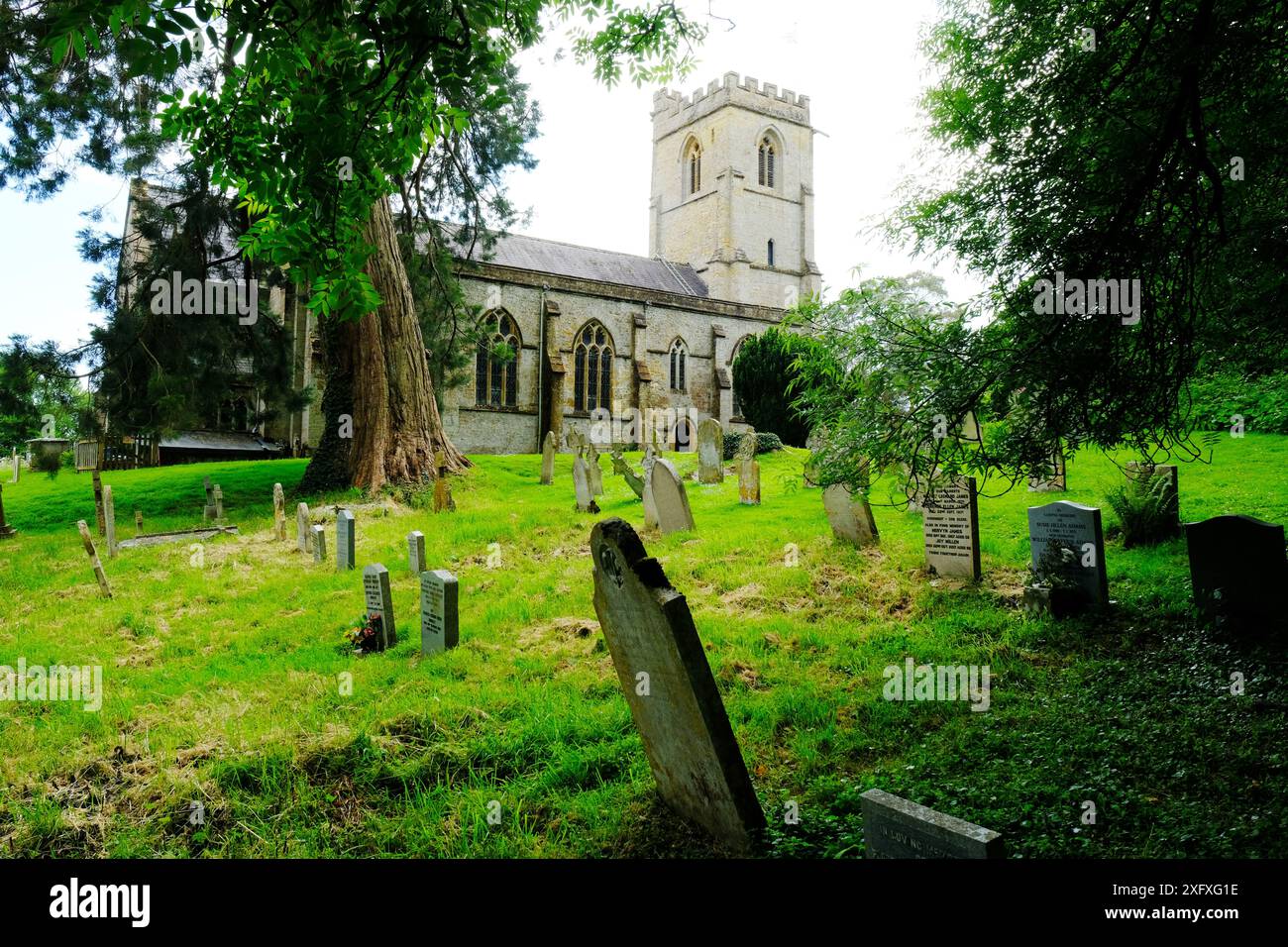 Parish church of St. Mary, Netherbury. Dorset, UK - John Gollop Stock ...