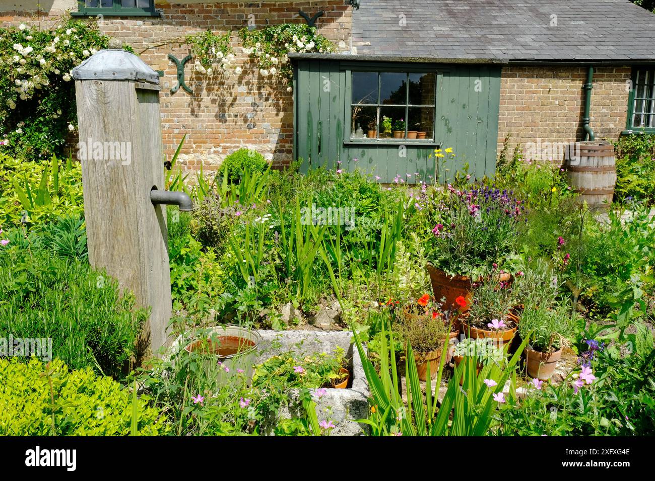 Lush flowering cottage garden border complete with antique water pump ...