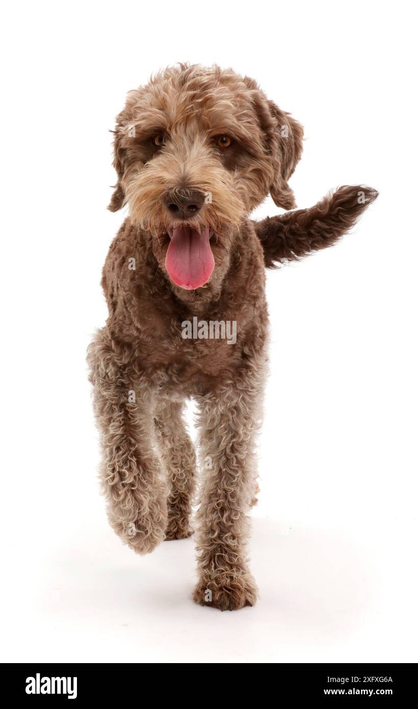 Running colours hi-res stock photography and images - Alamy