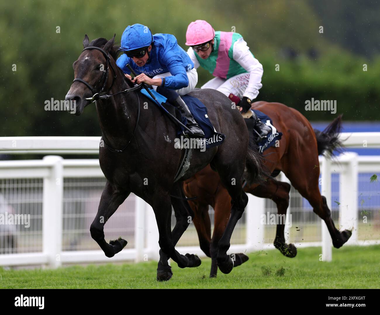 Anno domini horse hi-res stock photography and images - Alamy
